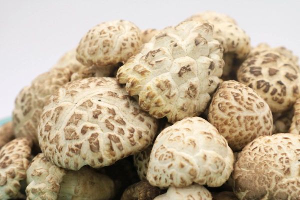 花菇和香菇哪个营养价值高_花菇和香菇的区别与功效-第2张图片-山城妙识