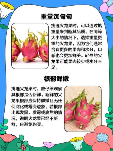 火龙果怎么挑_火龙果热量高吗-第3张图片-山城妙识