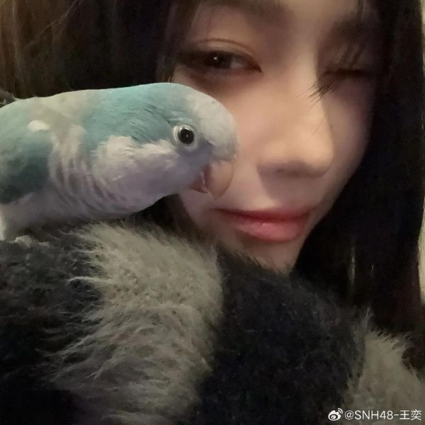 王奕萌素颜长什么样_王奕萌素颜对比精修差距大吗-第1张图片-山城妙识 王奕萌素颜长什么样_王奕萌素颜对比精修差距大吗-第1张图片-山城妙识