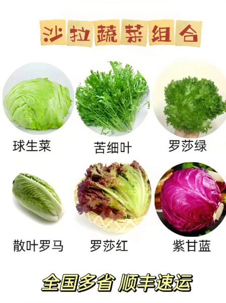 蔬菜沙拉用什么蔬菜好_蔬菜沙拉配料有哪些-第1张图片-山城妙识 蔬菜沙拉用什么蔬菜好_蔬菜沙拉配料有哪些-第1张图片-山城妙识