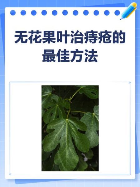 无花果治疗痔疮的方法_无花果怎么用治痔疮-第1张图片-山城妙识 无花果治疗痔疮的方法_无花果怎么用治痔疮-第1张图片-山城妙识