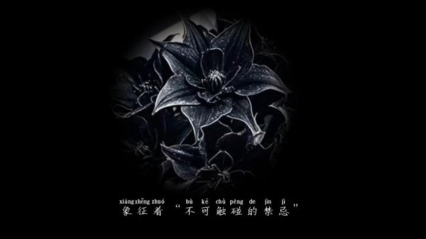 黑色曼陀罗花语是什么_最黑暗的花代表什么-第3张图片-山城妙识