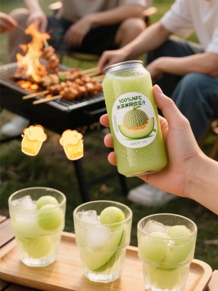 哈密瓜果汁最佳搭配_哈密瓜果汁怎么搭配好喝-第3张图片-山城妙识