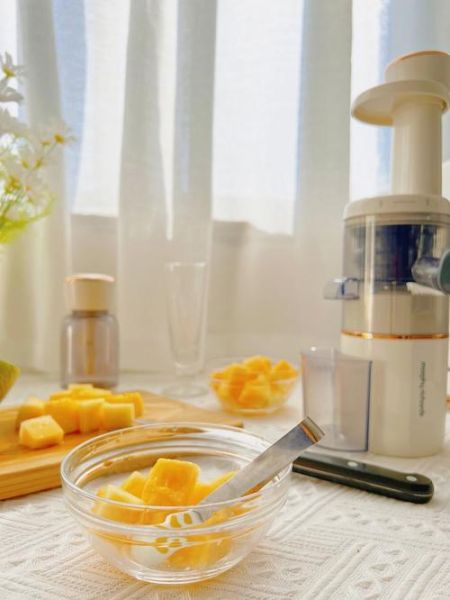 哈密瓜果汁最佳搭配_哈密瓜果汁怎么搭配好喝-第2张图片-山城妙识