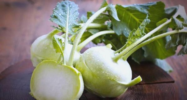 日本大头菜是什么菜_日本大头菜和芜菁区别-第2张图片-山城妙识 日本大头菜是什么菜_日本大头菜和芜菁区别-第2张图片-山城妙识