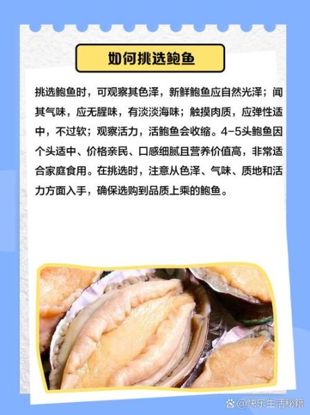 1头鲍鱼多少钱一个_1头鲍鱼价格是多少-第3张图片-山城妙识