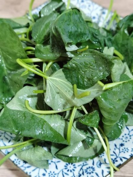 红薯叶晒干泡水有什么功效_红薯叶晒干泡水能减肥吗-第3张图片-山城妙识