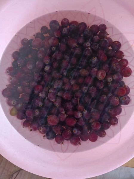 自酿葡萄酒的做法_家庭自酿葡萄酒视频教程-第3张图片-山城妙识