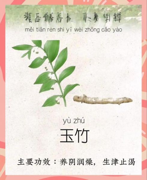 玉竹的功效与作用_玉竹的禁忌症有哪些-第3张图片-山城妙识 玉竹的功效与作用_玉竹的禁忌症有哪些-第3张图片-山城妙识