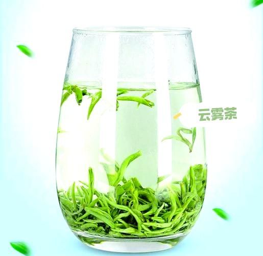 云雾茶属于什么茶_云雾茶是绿茶吗-第1张图片-山城妙识 云雾茶属于什么茶_云雾茶是绿茶吗-第1张图片-山城妙识