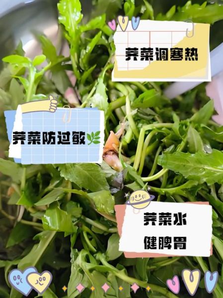 荠菜煮水能降血压吗_荠菜煮水的功效与作用-第3张图片-山城妙识 荠菜煮水能降血压吗_荠菜煮水的功效与作用-第3张图片-山城妙识