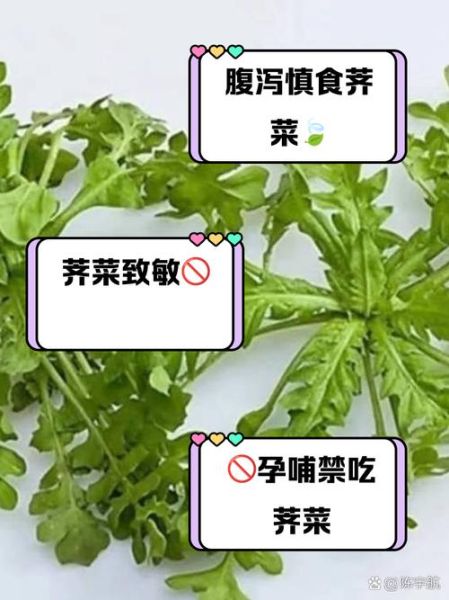 荠菜哪些人不能吃_荠菜不适宜人群-第1张图片-山城妙识