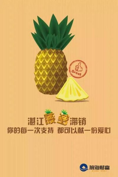 菠萝手机官网正品在哪买_菠萝手机售后怎么样-第2张图片-山城妙识