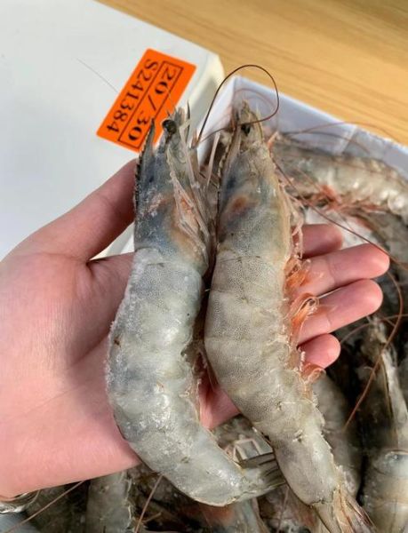 盐冻虾怎么做好吃_盐冻虾的正确处理方法-第1张图片-山城妙识