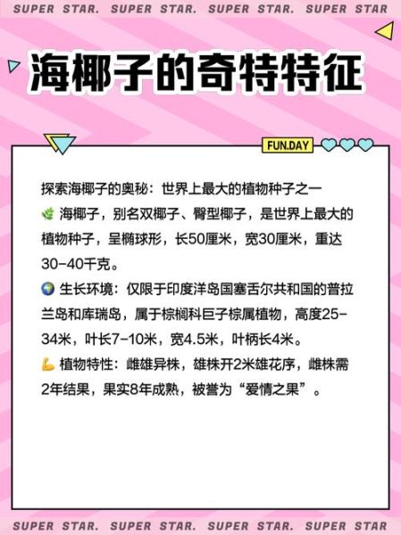 海椰子怎么吃_海椰子食用方法-第3张图片-山城妙识 海椰子怎么吃_海椰子食用方法-第3张图片-山城妙识