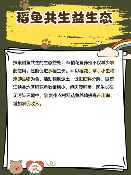 稻花鱼多少钱一斤_稻花鱼价格行情-第3张图片-山城妙识 稻花鱼多少钱一斤_稻花鱼价格行情-第3张图片-山城妙识