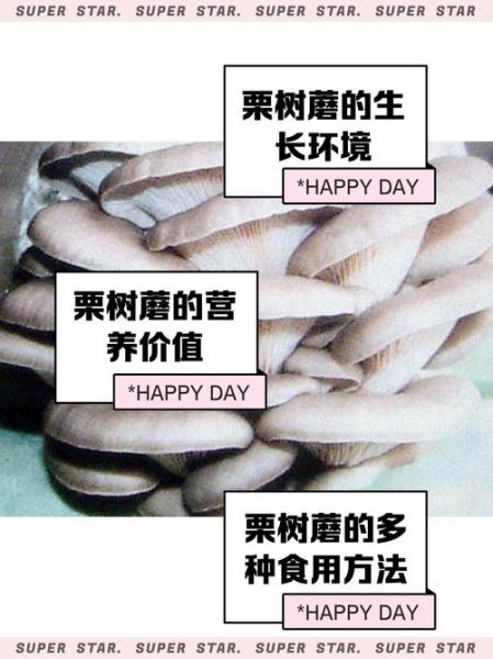 栗蘑怎么做好吃_栗蘑的家常做法大全-第2张图片-山城妙识 栗蘑怎么做好吃_栗蘑的家常做法大全-第2张图片-山城妙识