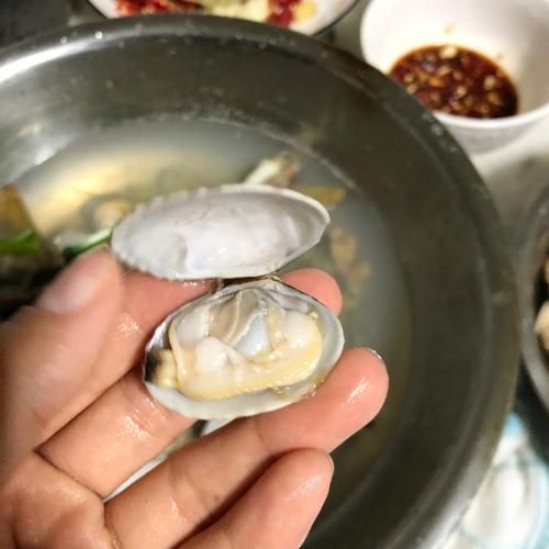 花甲怎么清洗内脏_花甲内脏清洗视频教程-第1张图片-山城妙识