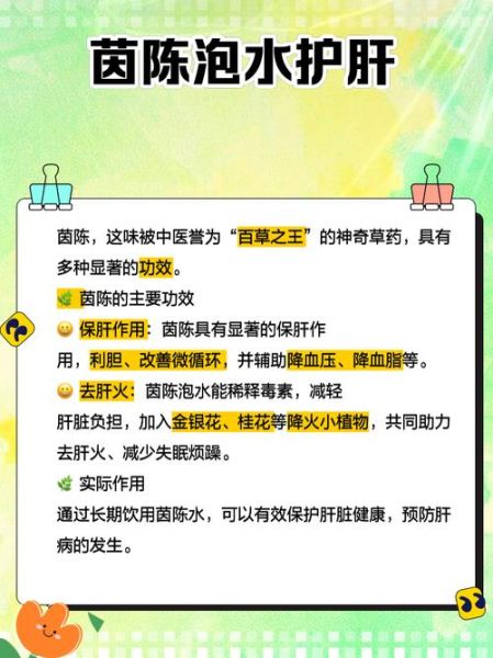 茵陈的功效与作用_茵陈泡水喝有什么禁忌-第2张图片-山城妙识