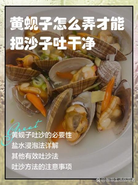 蚬子怎么清洗_蚬子怎么吐沙最快-第1张图片-山城妙识 蚬子怎么清洗_蚬子怎么吐沙最快-第1张图片-山城妙识