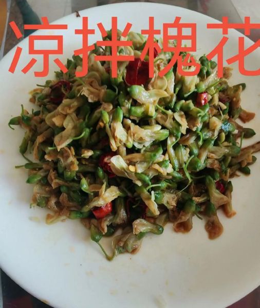 槐花怎么做好吃_槐花怎么保存才新鲜-第2张图片-山城妙识 槐花怎么做好吃_槐花怎么保存才新鲜-第2张图片-山城妙识