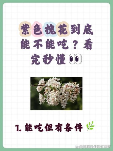 紫槐花图片做法大全_紫槐花怎么吃最好-第1张图片-山城妙识