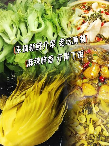老坛酸菜用的什么菜_酸菜原料是哪种芥菜-第2张图片-山城妙识