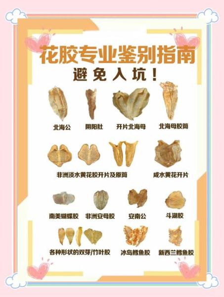 花胶和鱼肚有什么区别_哪个营养价值更高-第2张图片-山城妙识 花胶和鱼肚有什么区别_哪个营养价值更高-第2张图片-山城妙识