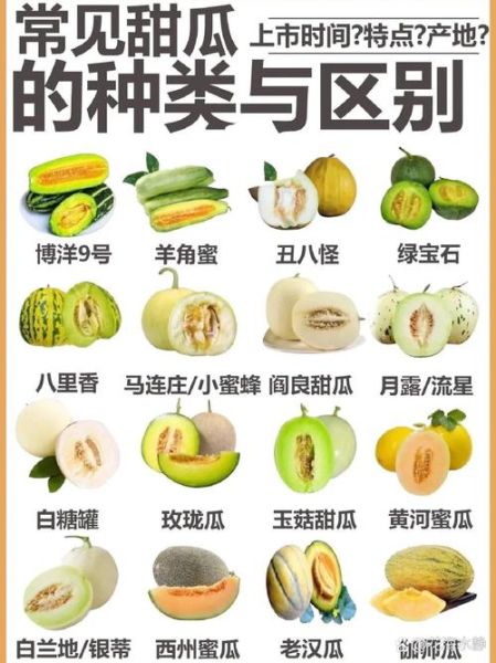 甜瓜和香瓜的区别_哪个更甜更好吃-第1张图片-山城妙识 甜瓜和香瓜的区别_哪个更甜更好吃-第1张图片-山城妙识