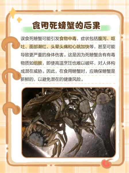 买的螃蟹死了能吃吗_螃蟹死了多久不能吃-第1张图片-山城妙识