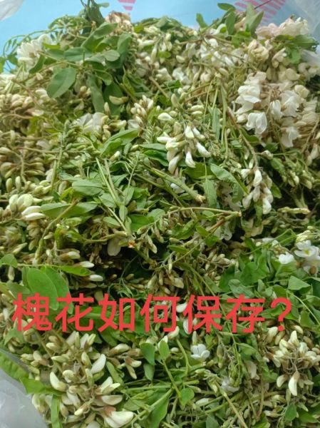 冷冻的槐花怎么蒸_冷冻槐花蒸多久-第3张图片-山城妙识 冷冻的槐花怎么蒸_冷冻槐花蒸多久-第3张图片-山城妙识