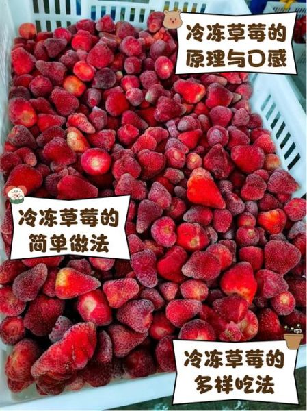 冰冻草莓怎么做_冷冻草莓能保存多久-第1张图片-山城妙识