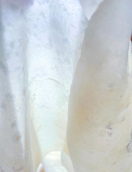 春饼皮怎么做又软又筋道_春饼皮用什么面粉最好-第1张图片-山城妙识