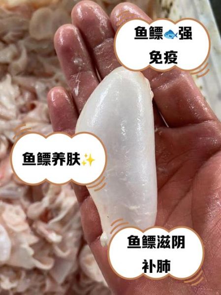 鱼鳔长什么样_鱼鳔是什么形状-第2张图片-山城妙识 鱼鳔长什么样_鱼鳔是什么形状-第2张图片-山城妙识