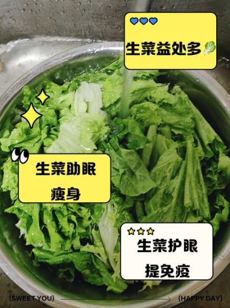 生菜的功效与作用_生菜怎么吃最营养-第3张图片-山城妙识 生菜的功效与作用_生菜怎么吃最营养-第3张图片-山城妙识