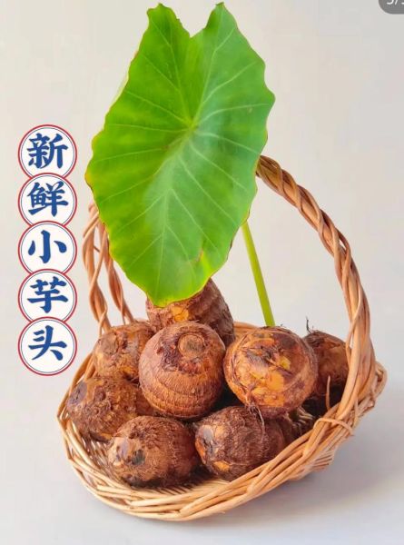 毛芋头和芋头的区别_哪个更好吃-第1张图片-山城妙识