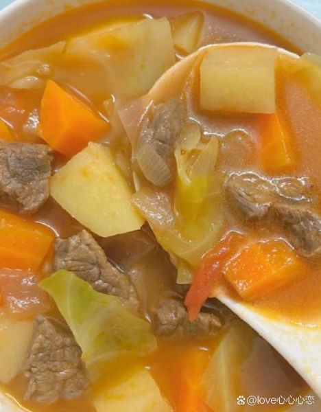 番茄罗宋汤怎么做_罗宋汤家常做法-第2张图片-山城妙识