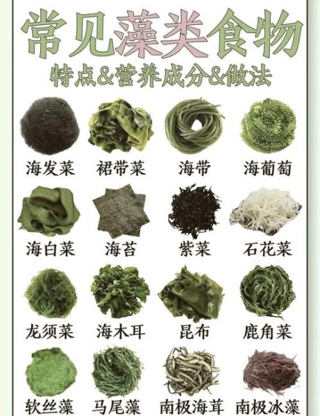 海木耳是什么_海木耳和黑木耳的区别-第1张图片-山城妙识