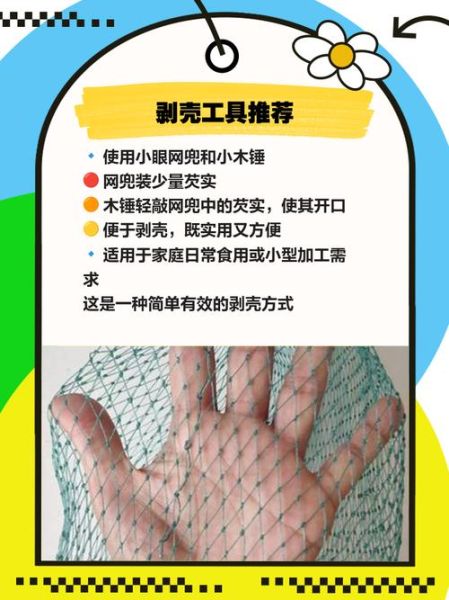 鸡头米怎么剥壳_鸡头米剥壳技巧-第3张图片-山城妙识