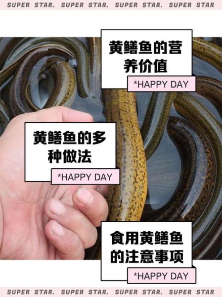 黄鳝鱼有寄生虫吗_黄鳝寄生虫怎么彻底杀死-第1张图片-山城妙识 黄鳝鱼有寄生虫吗_黄鳝寄生虫怎么彻底杀死-第1张图片-山城妙识