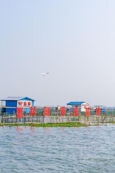 阳澄湖大闸蟹什么时候上市_2024年开捕时间-第2张图片-山城妙识 阳澄湖大闸蟹什么时候上市_2024年开捕时间-第2张图片-山城妙识