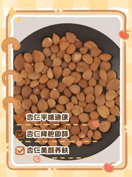 长期吃杏仁有什么好处_长期吃杏仁会不会发胖-第1张图片-山城妙识 长期吃杏仁有什么好处_长期吃杏仁会不会发胖-第1张图片-山城妙识
