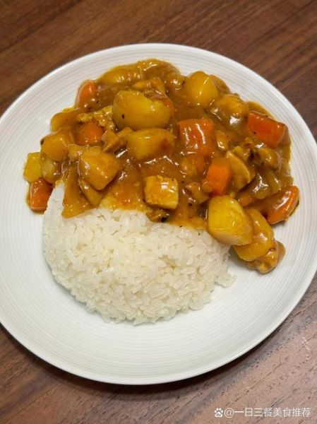 咖喱鸡饭怎么做_家庭版咖喱鸡饭做法-第2张图片-山城妙识