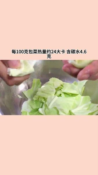 圆生菜和圆白菜的区别_哪个更适合减肥-第3张图片-山城妙识