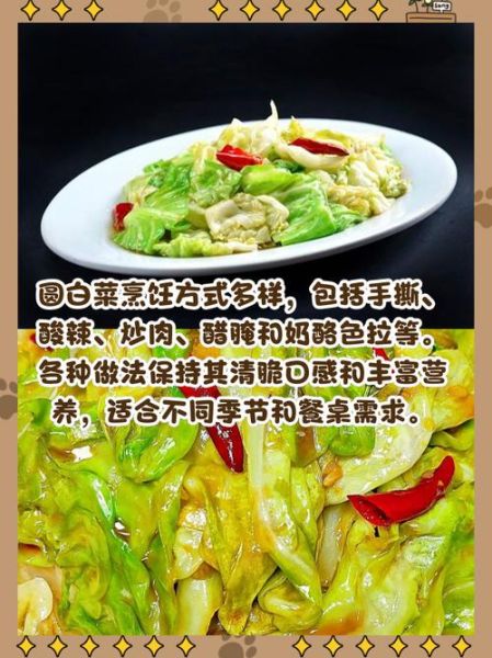 圆生菜和圆白菜的区别_哪个更适合减肥-第1张图片-山城妙识