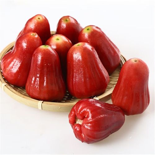 莲雾水果多少钱一斤_莲雾价格为什么差距大-第1张图片-山城妙识