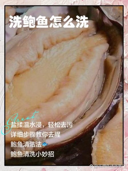 鲍鱼怎么处理干净_鲍鱼清洗内脏视频教程-第2张图片-山城妙识 鲍鱼怎么处理干净_鲍鱼清洗内脏视频教程-第2张图片-山城妙识
