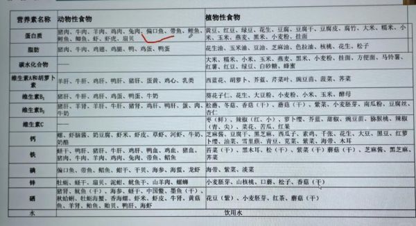 如何编制健康食谱_食谱编制有哪些注意事项-第3张图片-山城妙识