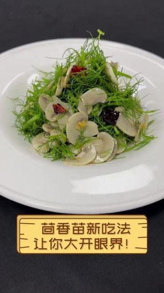 茴香苗怎么吃_茴香苗做法大全-第2张图片-山城妙识 茴香苗怎么吃_茴香苗做法大全-第2张图片-山城妙识