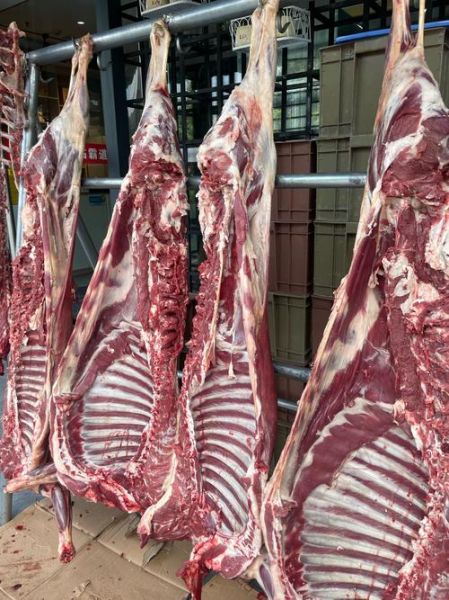 羊肉价格今日查询_今日羊肉多少钱一斤-第1张图片-山城妙识 羊肉价格今日查询_今日羊肉多少钱一斤-第1张图片-山城妙识